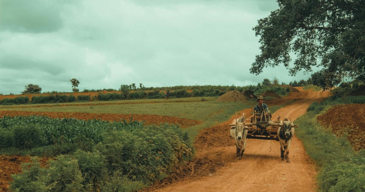 Energy | MSR Research