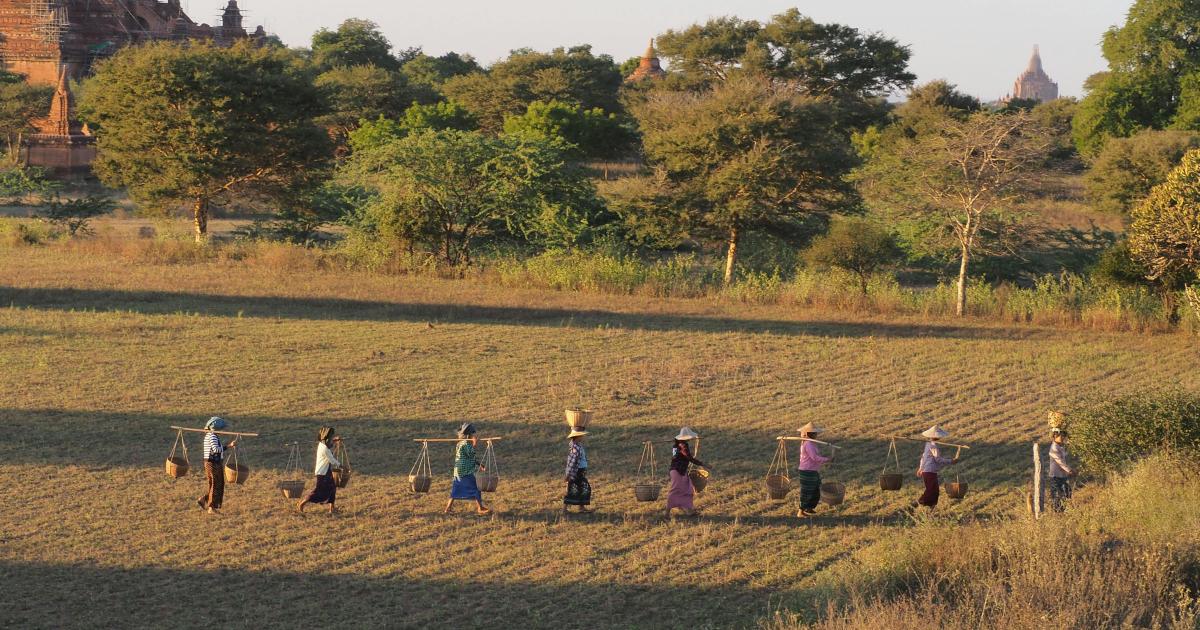 Development | MSR Research